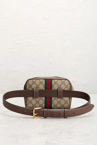 Gucci Ophidia Belt Bag