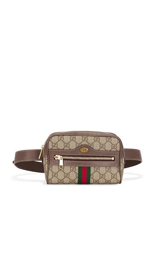 FWRD RENEW Gucci Ophidia Belt Bag