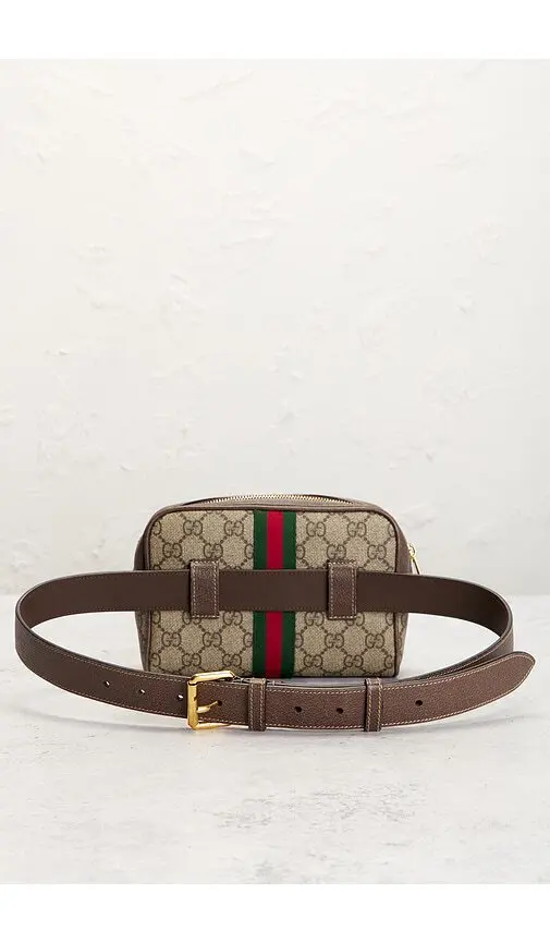 FWRD RENEW Gucci Ophidia Belt Bag