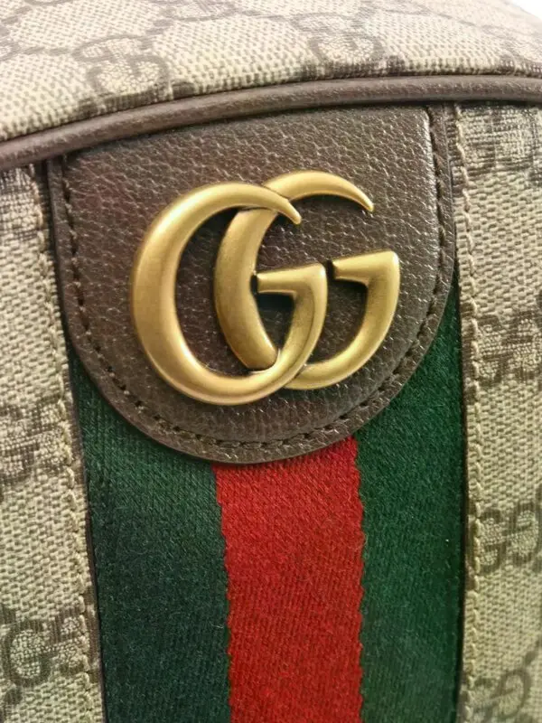 Gucci 2016-2026 Medium Gg Supreme Ophidia Backpack
