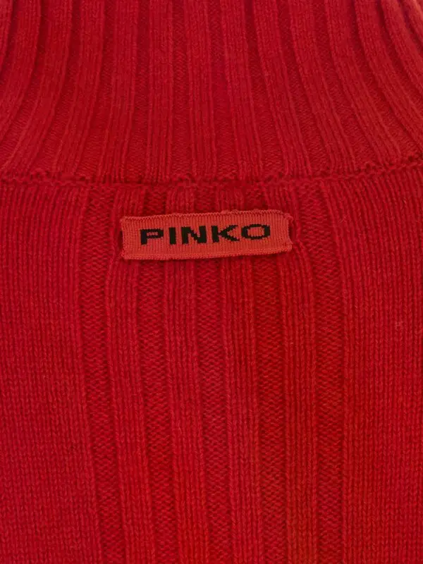Pinko Ribbed High-neck Sweater