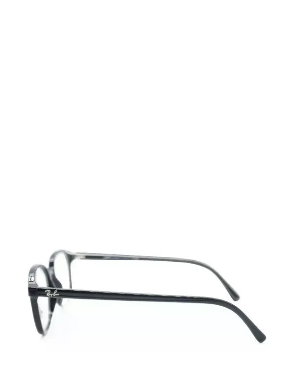 Ray-ban Leonard Glasses