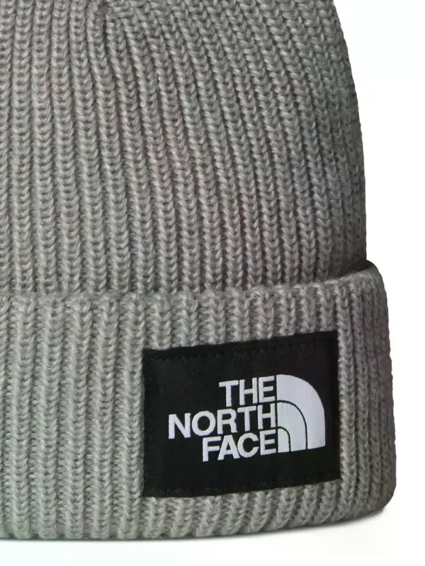 The North Face Salty Logo Beanie