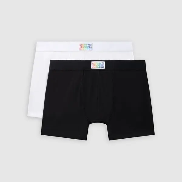 LEVI'S Pride Boxer Brief 2 Pack
