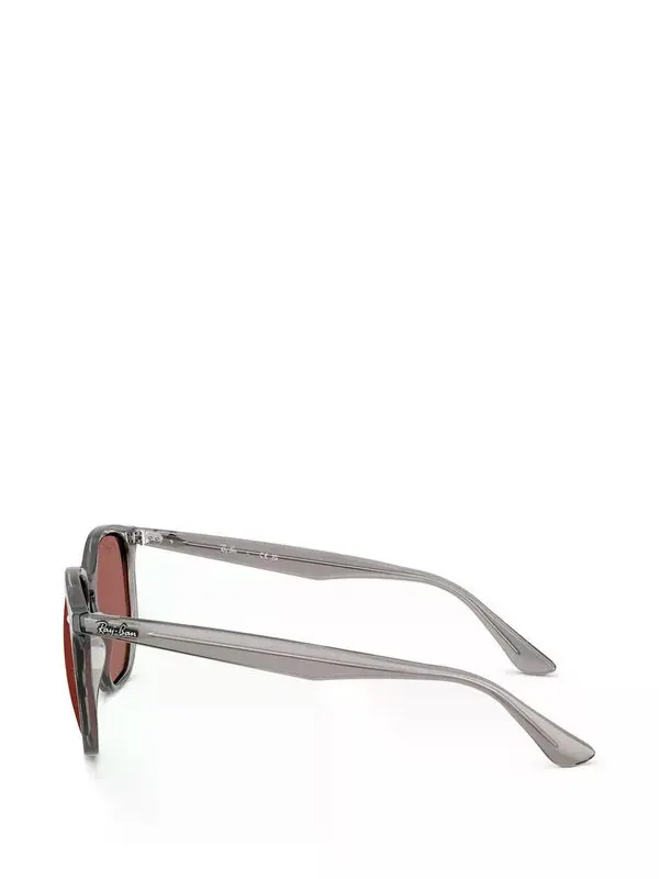 Ray-ban Round-frame Sunglasses