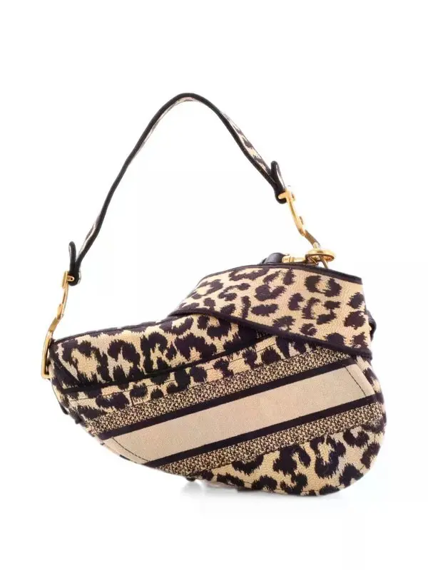 Dior Saddle Handbag Mizza Embroidered Canvas Medium Satchel