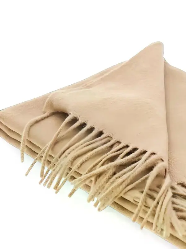 Max Mara Fringed Logo-embroidered Scarf
