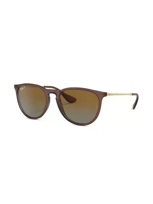 Ray-ban Erika Round-frame Sunglasses