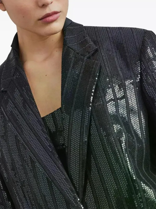 Brunello Cucinelli Sequinned Jacket