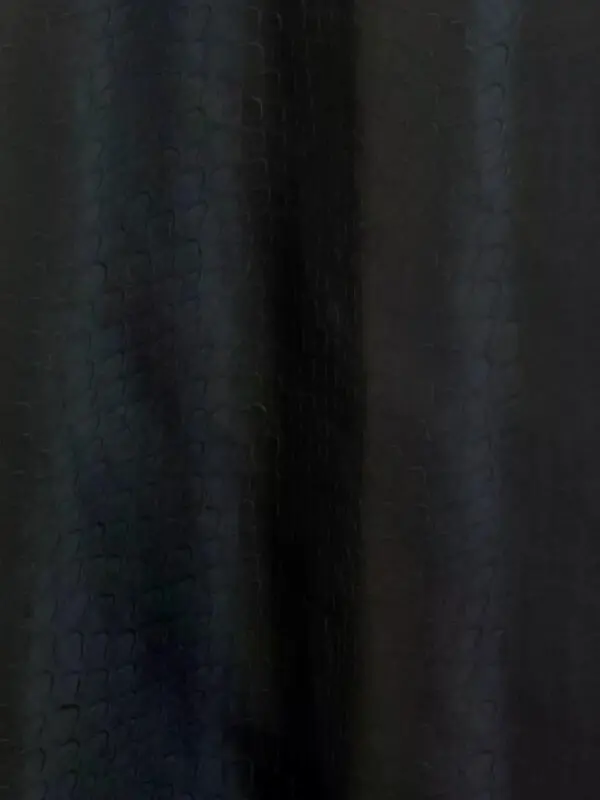 Elisabetta Franchi Crocodile-effect Maxi Skirt