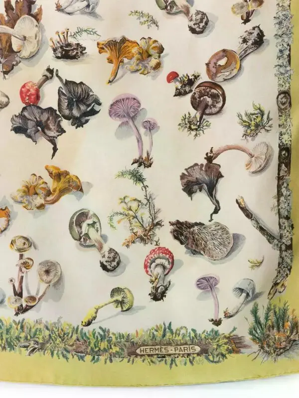 Hermès Circa 1960 Champignons Scarf
