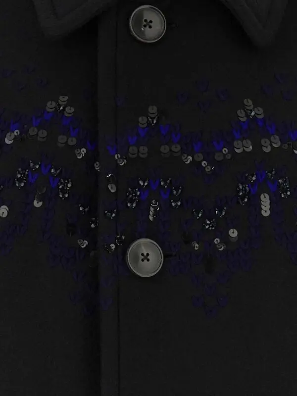 Dries Van Noten Coat Colour
