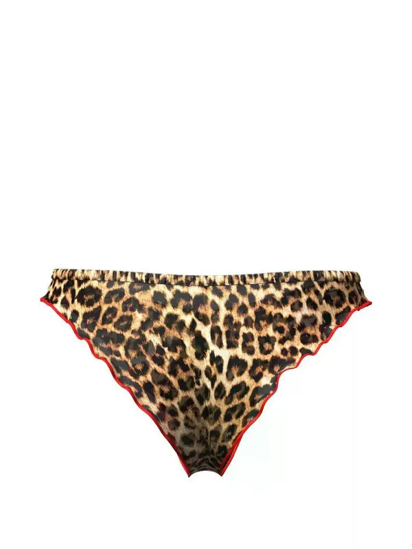 SCANDALE Sauvage Ruffled Leopard-print Thong