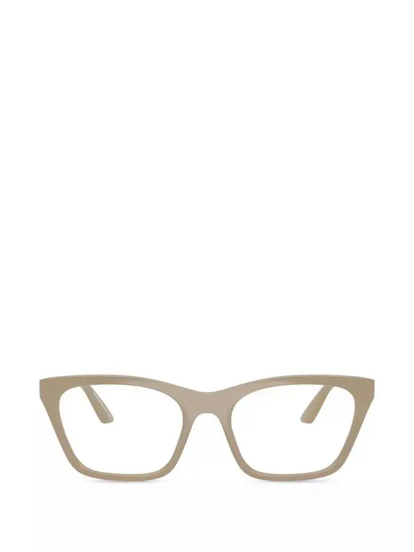 Emporio Armani Clip-on Cat-eye Frame Sunglasses - Neutrals