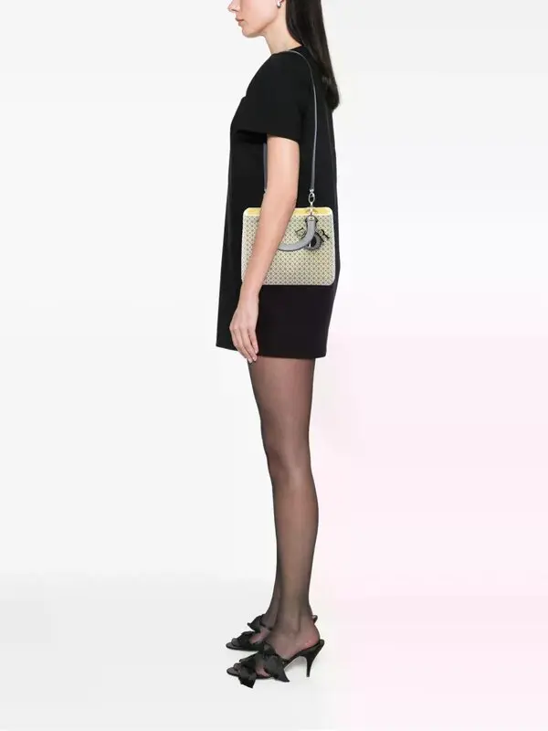 Dior Medium Embroidered Lambskin Microcannage Lady Satchel