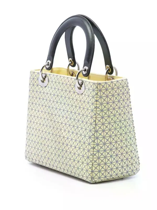 Dior Medium Embroidered Lambskin Microcannage Lady Satchel