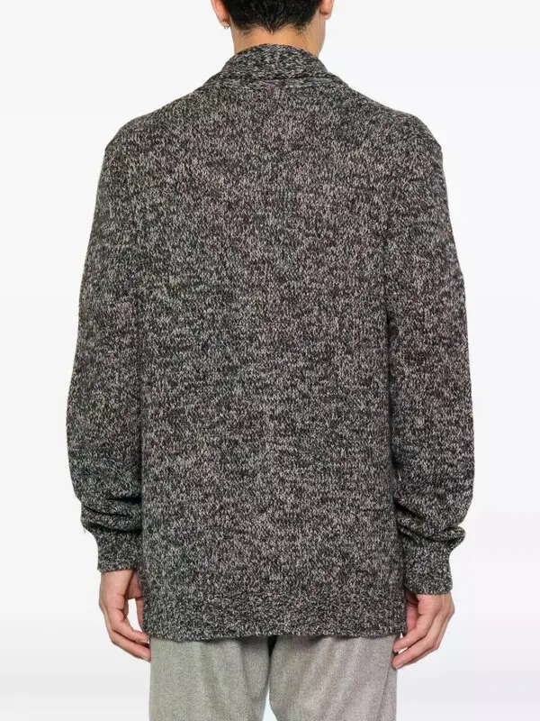 Tagliatore Shawl-collar Cardigan
