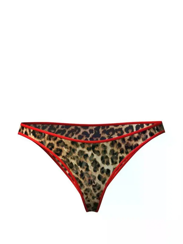 SCANDALE Sauvage Leopard-print Briefs - Brown