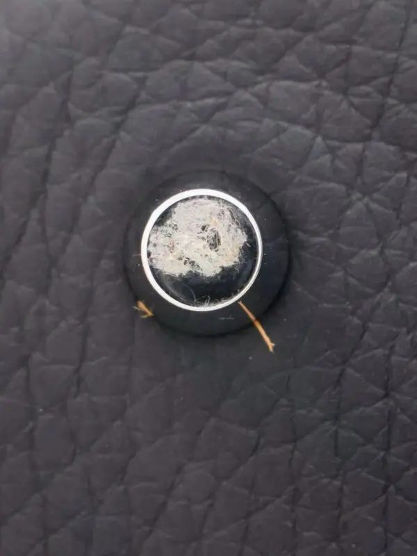 Hermès 2025 Clemence Picotin Lock 22 Handbag