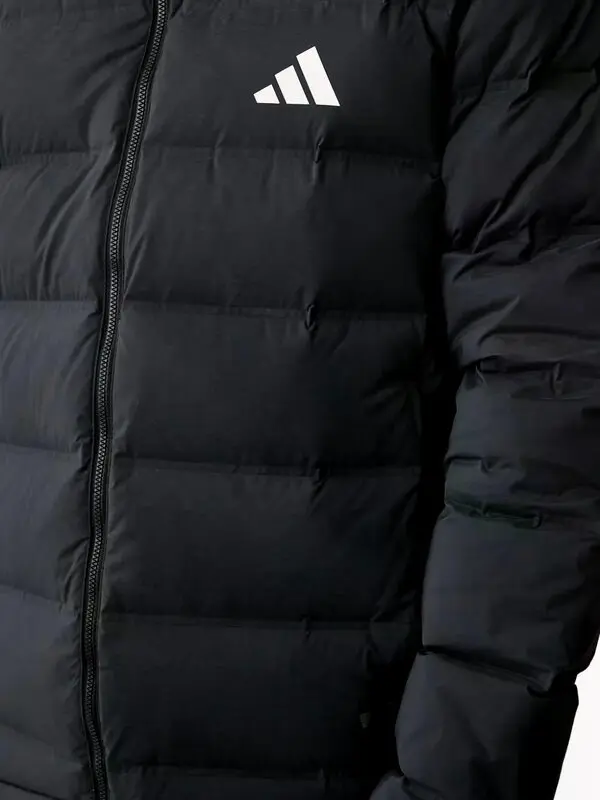 Adidas Hooded Padded Jacket