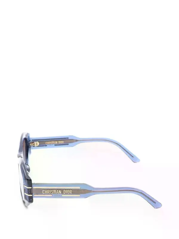 Dior 2010s Diorsignature Cat-eye Frame Sunglasses