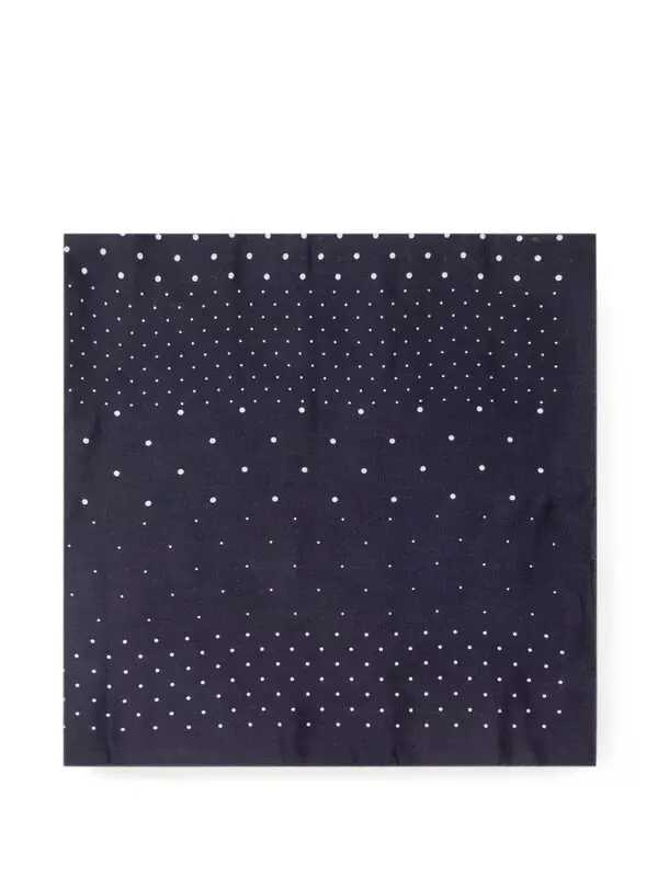 Destin Polka-dot Wool Scarf - Blue