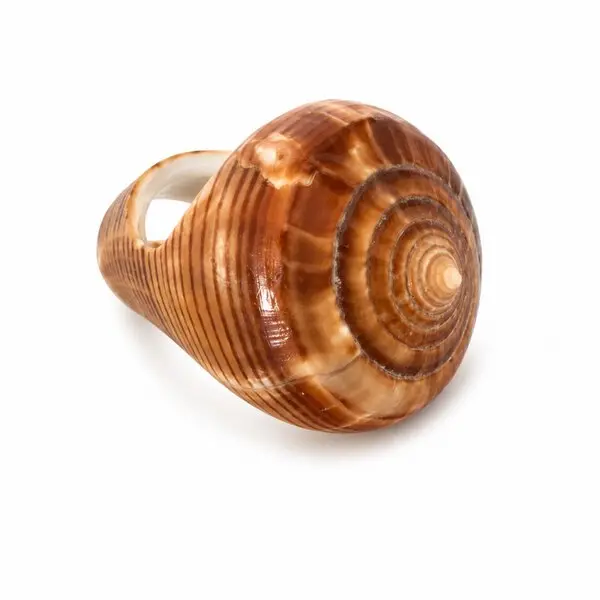 BELLUS DOMINA Beige Spiral Ocean Shell Ring