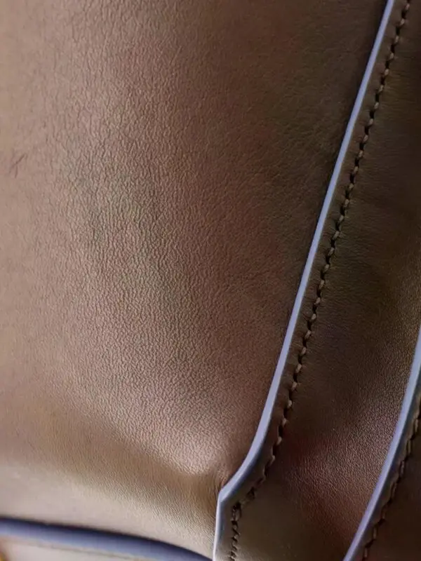 Celine Belt Bag Calfskin Mini Satchel