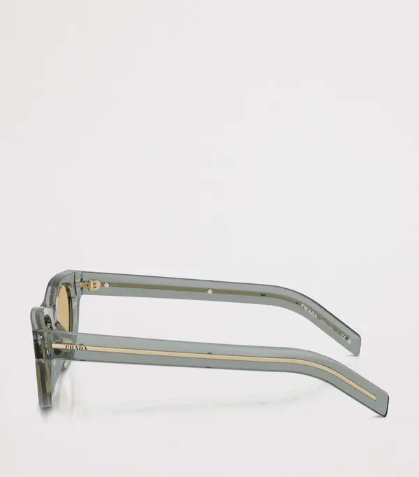 Prada Acetate Pr C09s Cat Eye Sunglasses