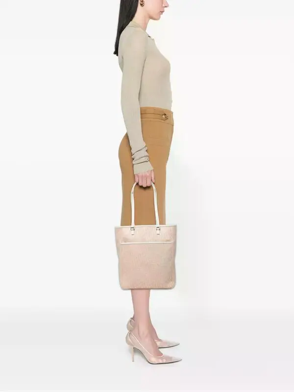 Dior Trotter Canvas Tote Bag