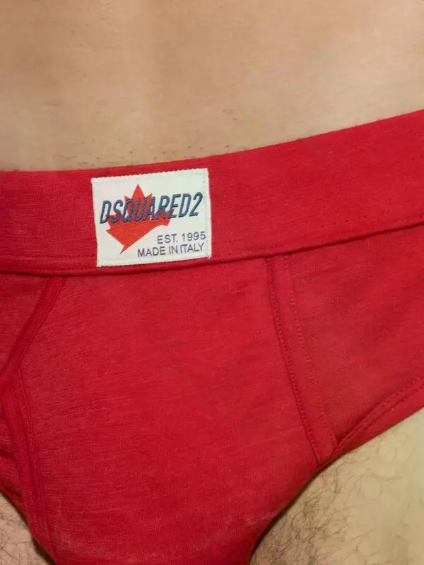 Dsquared2 Ski Pass Logo-patch Wool Briefs