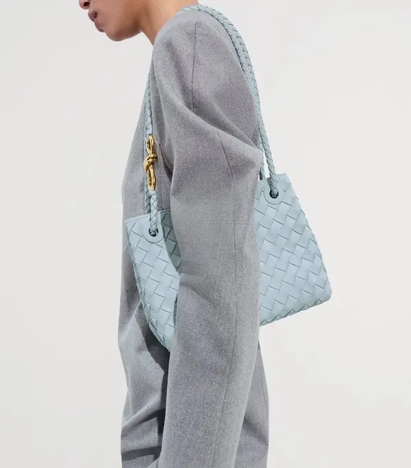 Bottega Veneta Small Andiamo Top-handle Bag
