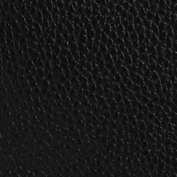 Bottega Veneta Leather Diago Backpack