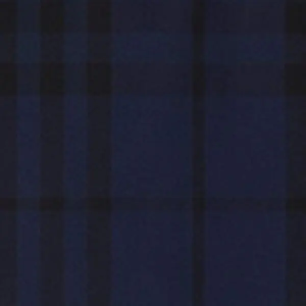 Burberry Cotton Check Shirt