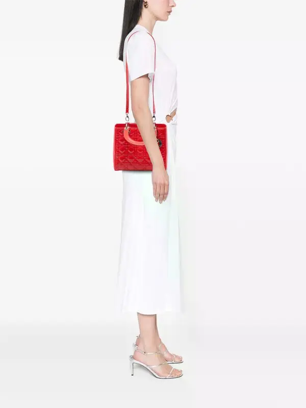 Dior 2012 Medium Patent Cannage Lady Satchel