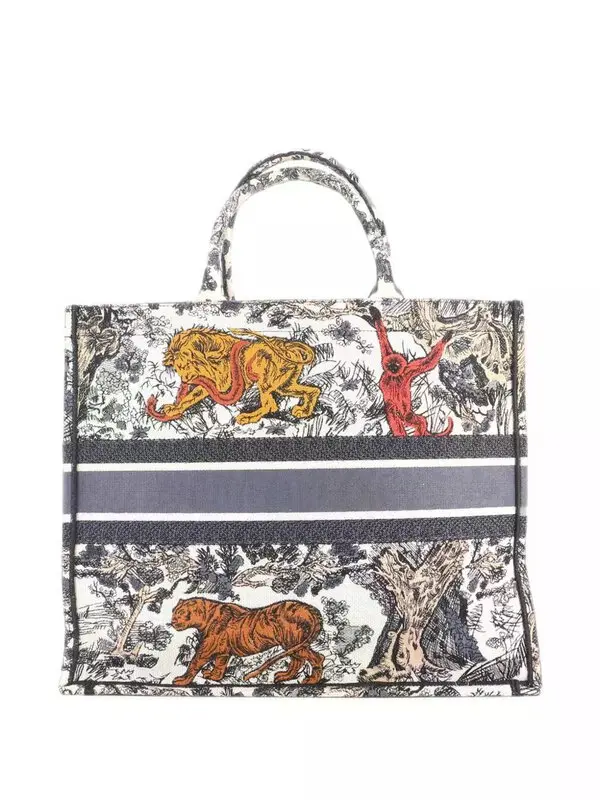Dior Book Embroidered Canvas Large Tote Bag - Blue