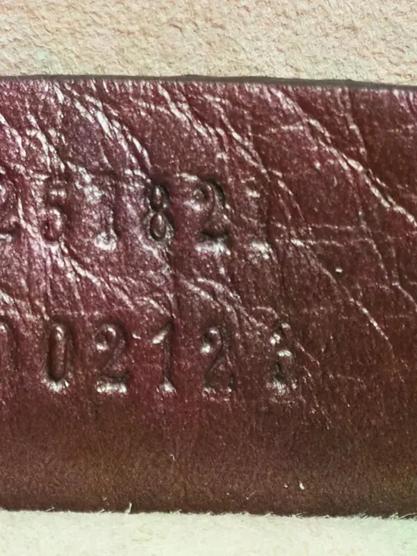 Gucci 1973 Chain Crossbody Bag