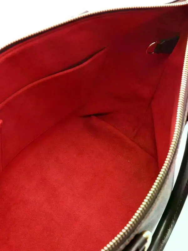 LOUIS VUITTON 2010 Damier Ebene Saleya Pm Handbag