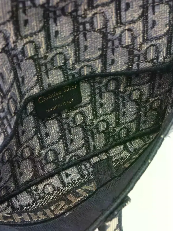 Dior Oblique Canvas Embroidered Saddle Slim Pouch Belt Bag