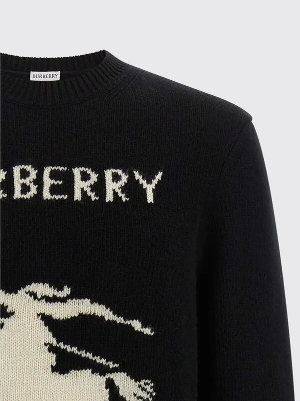 Burberry Jumper Colour