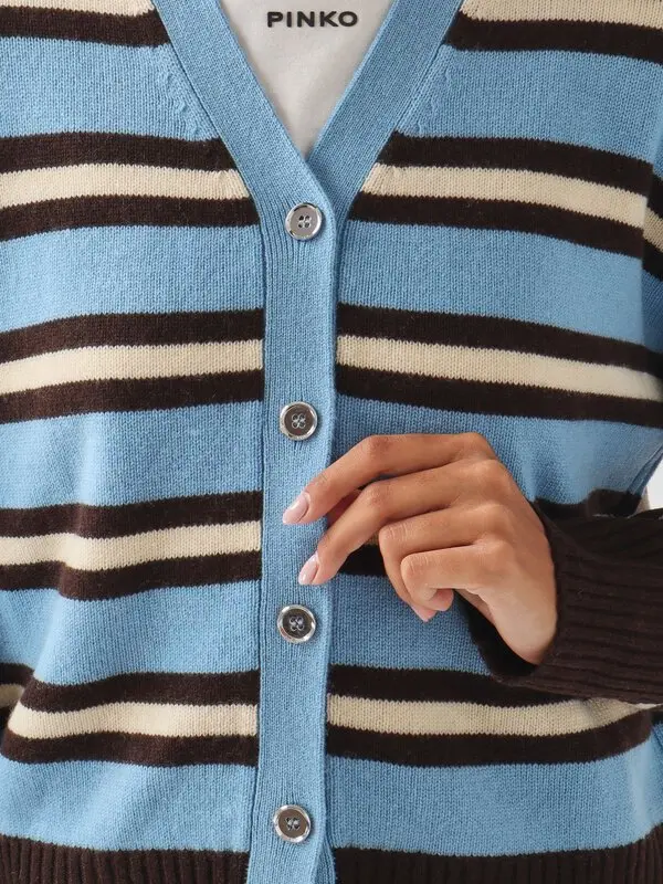 Pinko V-neck Wool And Cashmere Blend Cardigan With Button Closure - Gnawed Blue