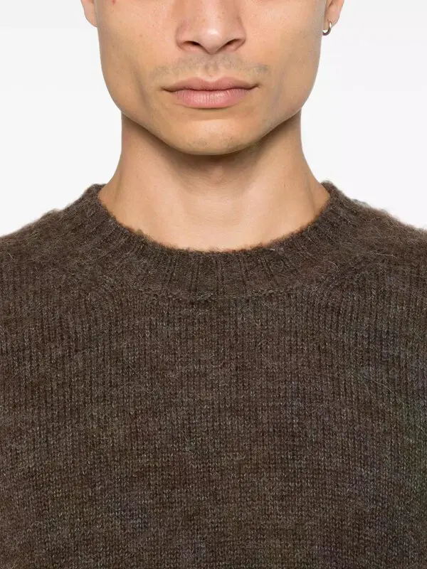 DIANA STUDIO Brushed-knit Crew-neck Sweater
