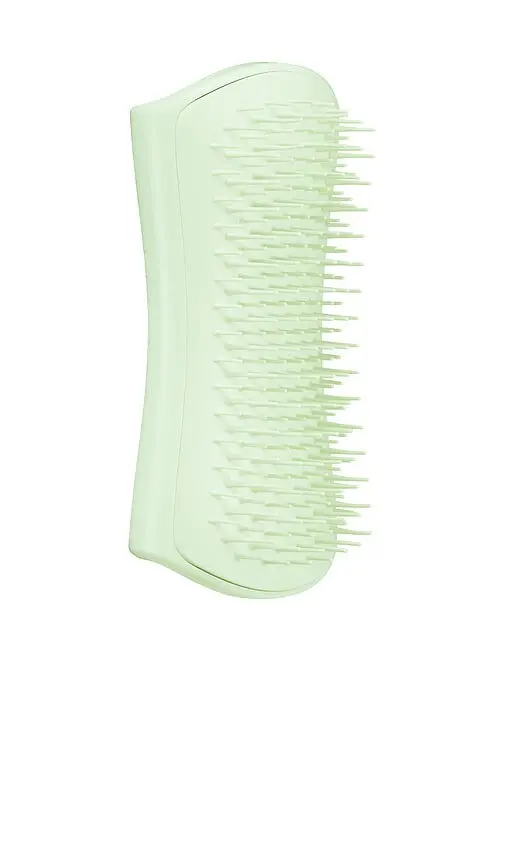 TANGLE TEEZER Puppy Detangling Grooming Brush - Green