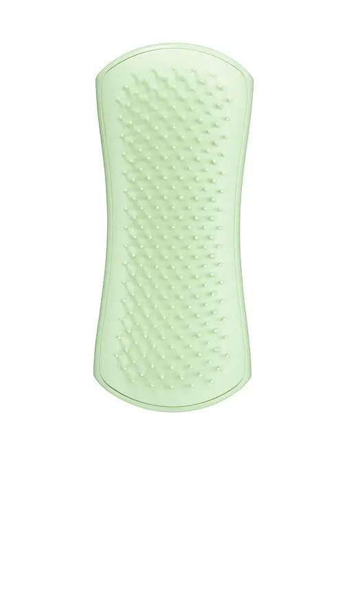 TANGLE TEEZER Puppy Detangling Grooming Brush - Green