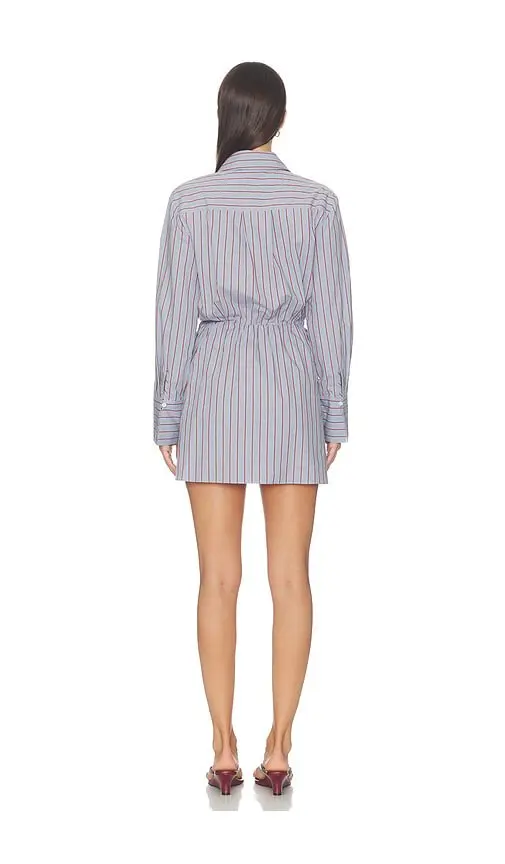 Heartloom Somi Dress In . Also