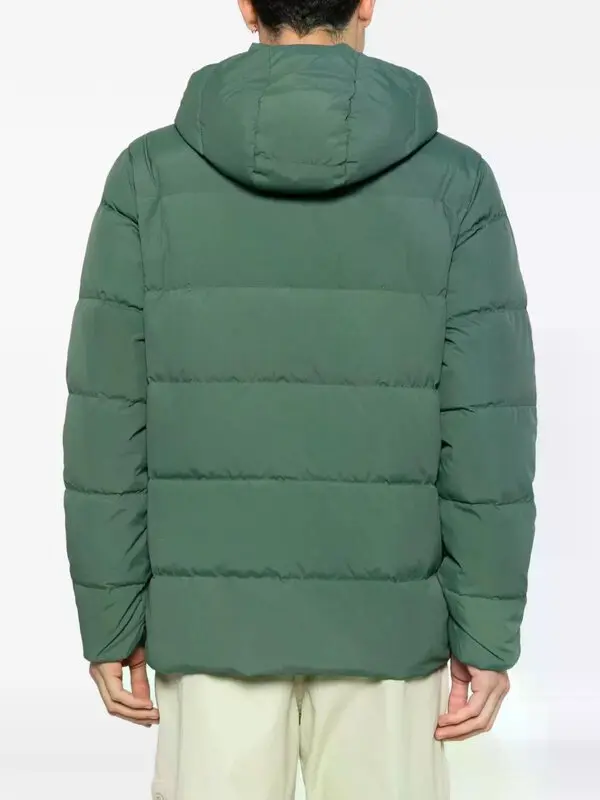 Patagonia Hooded Padded Jacket