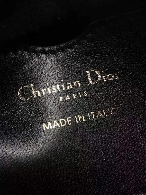 Dior Lambskin Cannage Vibe Hobo Satchel