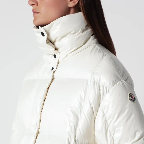 Moncler Parana Down Jacket In Nylon Laqu