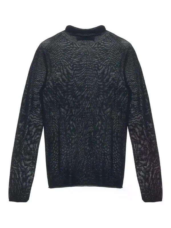 Carven Sheer Turtleneck Sweater