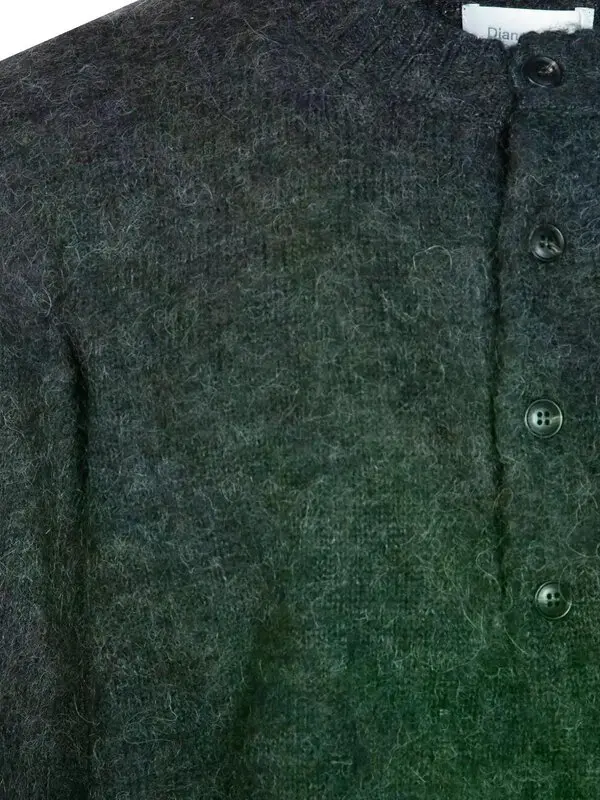 DIANA STUDIO Serafino Button-up Sweater